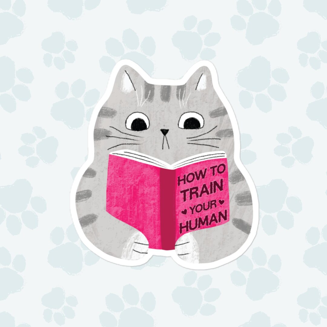 How to Train Your Human Sticker, Large 4in Vinyl Sticker - Etsy