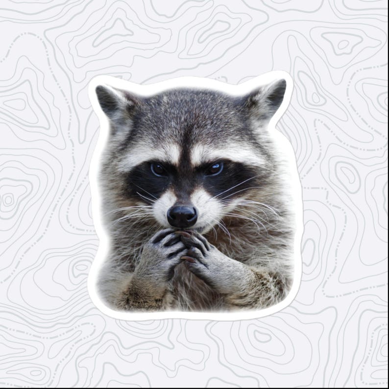 Raccoon Sticker, Large 4in Vinyl Sticker - Etsy