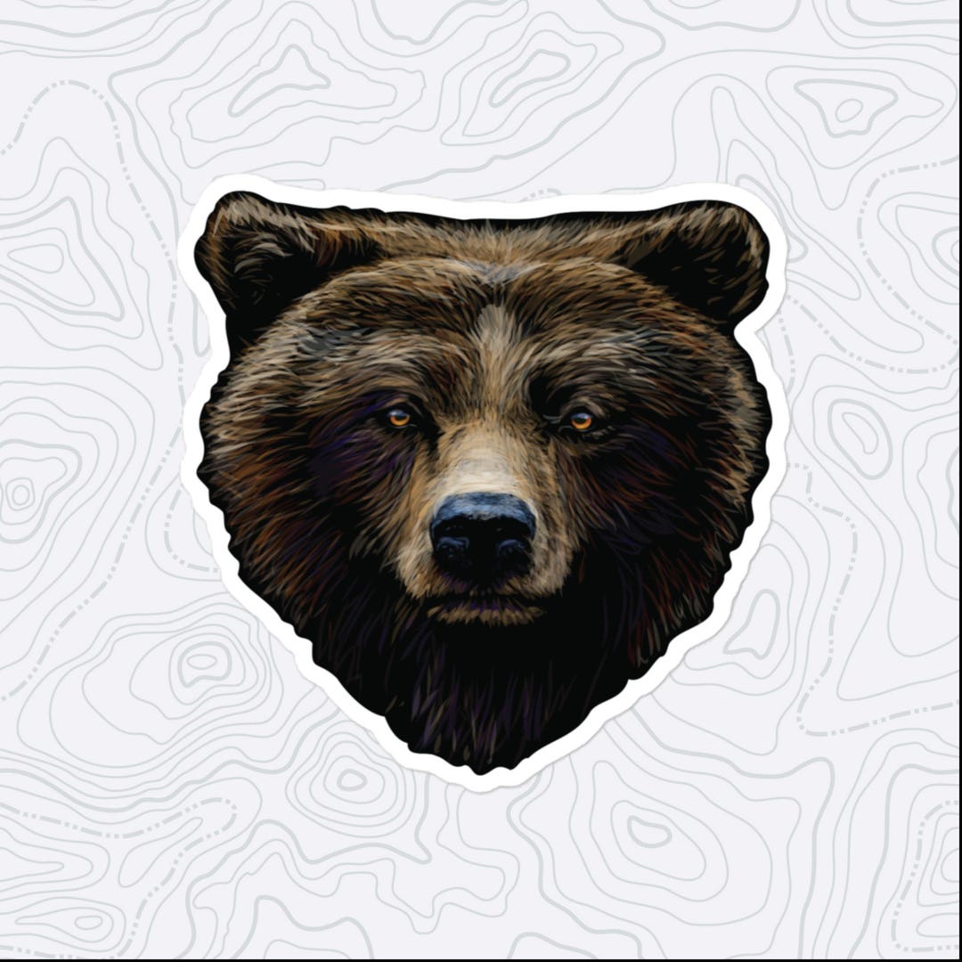 Bear Face Sticker Sticker, Large 4in Vinyl Sticker - Etsy
