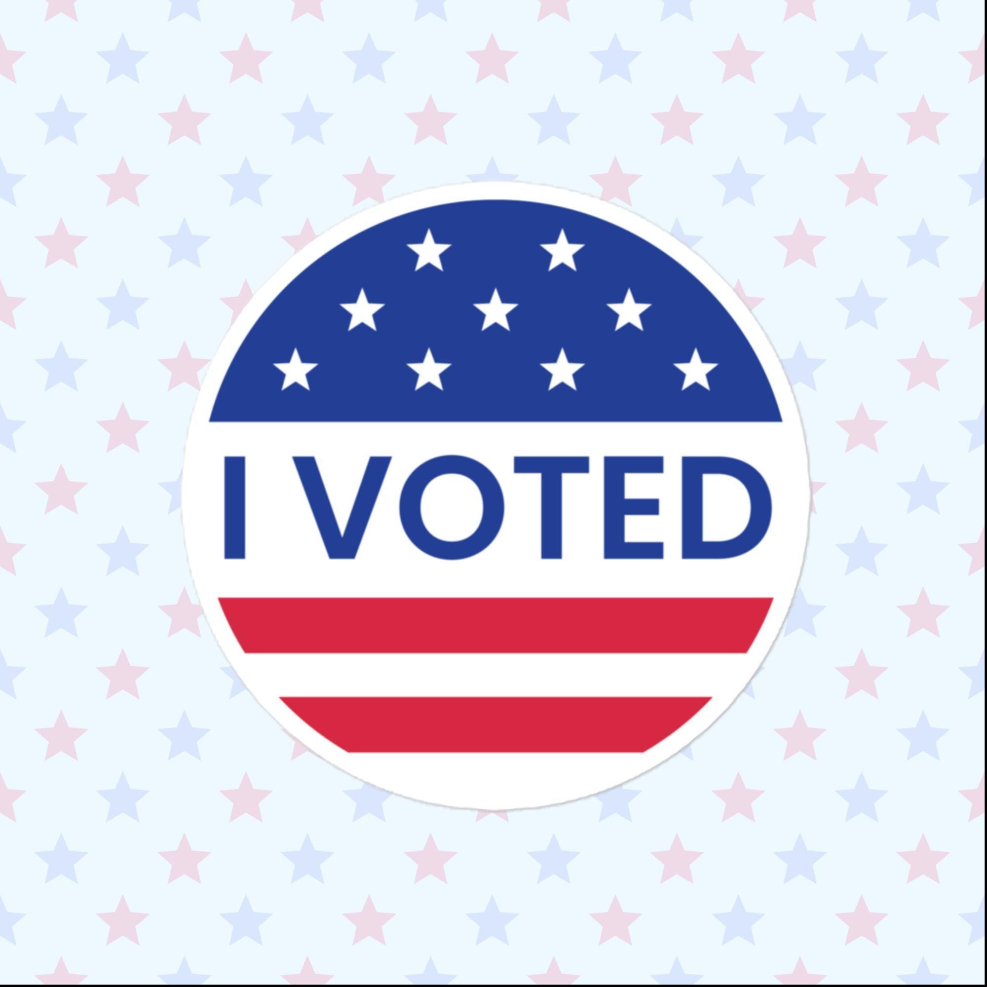 I Voted Sticker Sticker, Large 4in Vinyl Sticker - Etsy