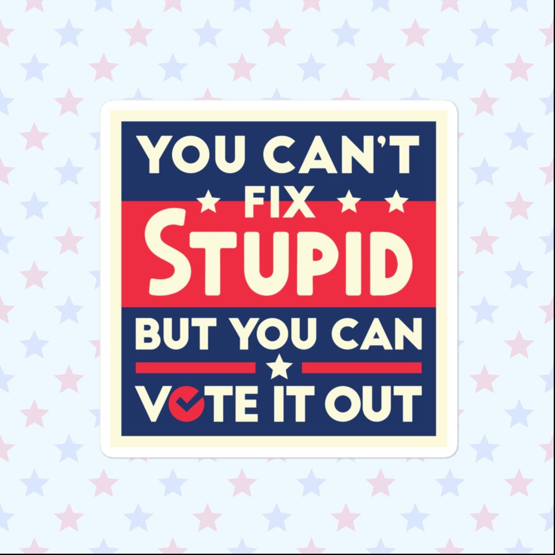 You Can't Fix Stupid Sticker, Large 4in Vinyl Sticker - Etsy