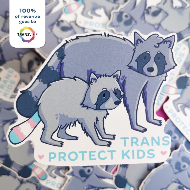 Protect Trans Kids Sticker for Charity - Etsy