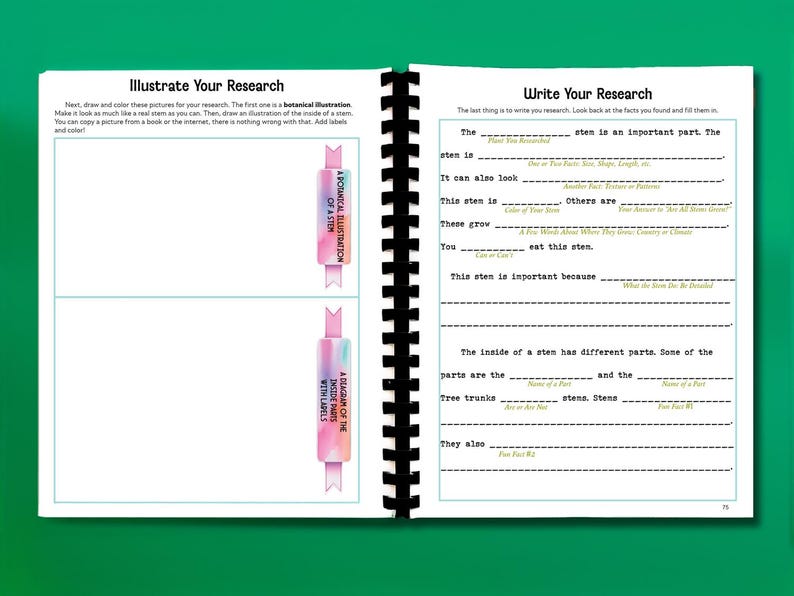 Botany: All-in-one Plant Science, Grades 5-12 - Etsy