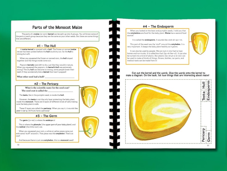 Botany: All-in-one Plant Science, Grades 5-12 - Etsy