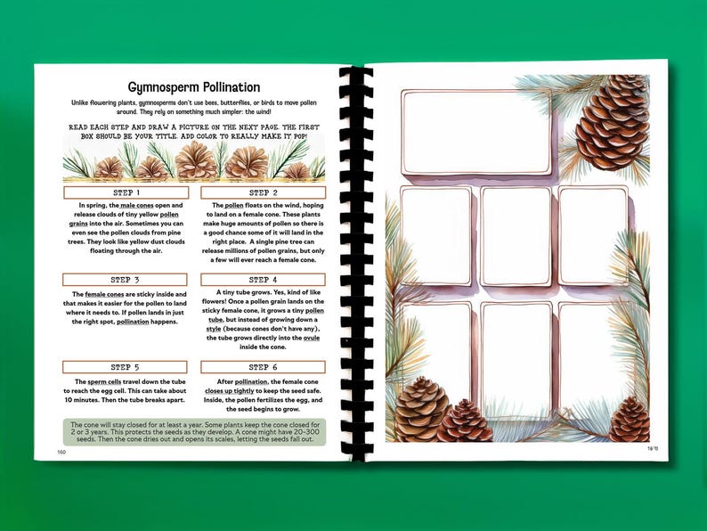 Botany: All-in-one Plant Science, Grades 5-12 - Etsy
