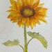 Personalized Flower Watercolor Card - Etsy