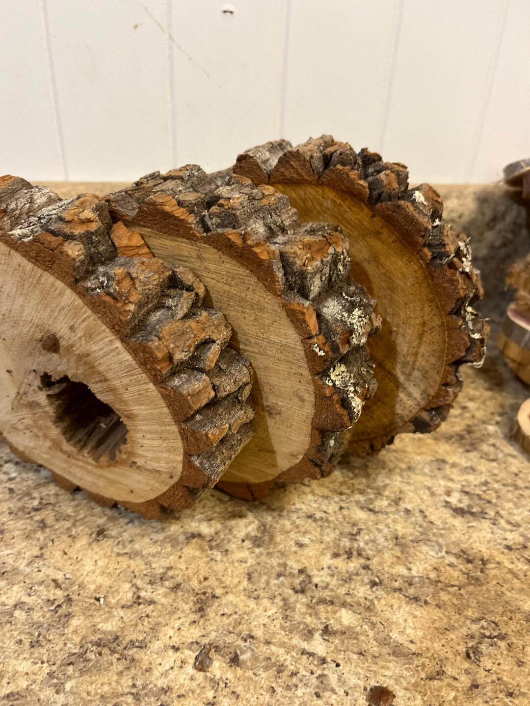 Craft Project Wood Hollow Sassafras Tree Wood 6'' Diameter 3 Pieces - Etsy