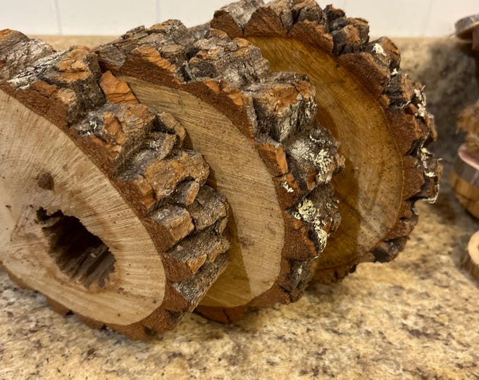 Craft Project Wood Hollow Sassafras Tree Wood 6'' Diameter 3 Pieces - Etsy