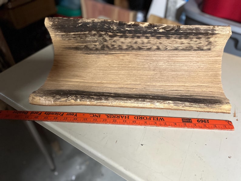 Red Oak Wood Slab: Unique Craft Project Piece (24x10x1.5 In - Etsy