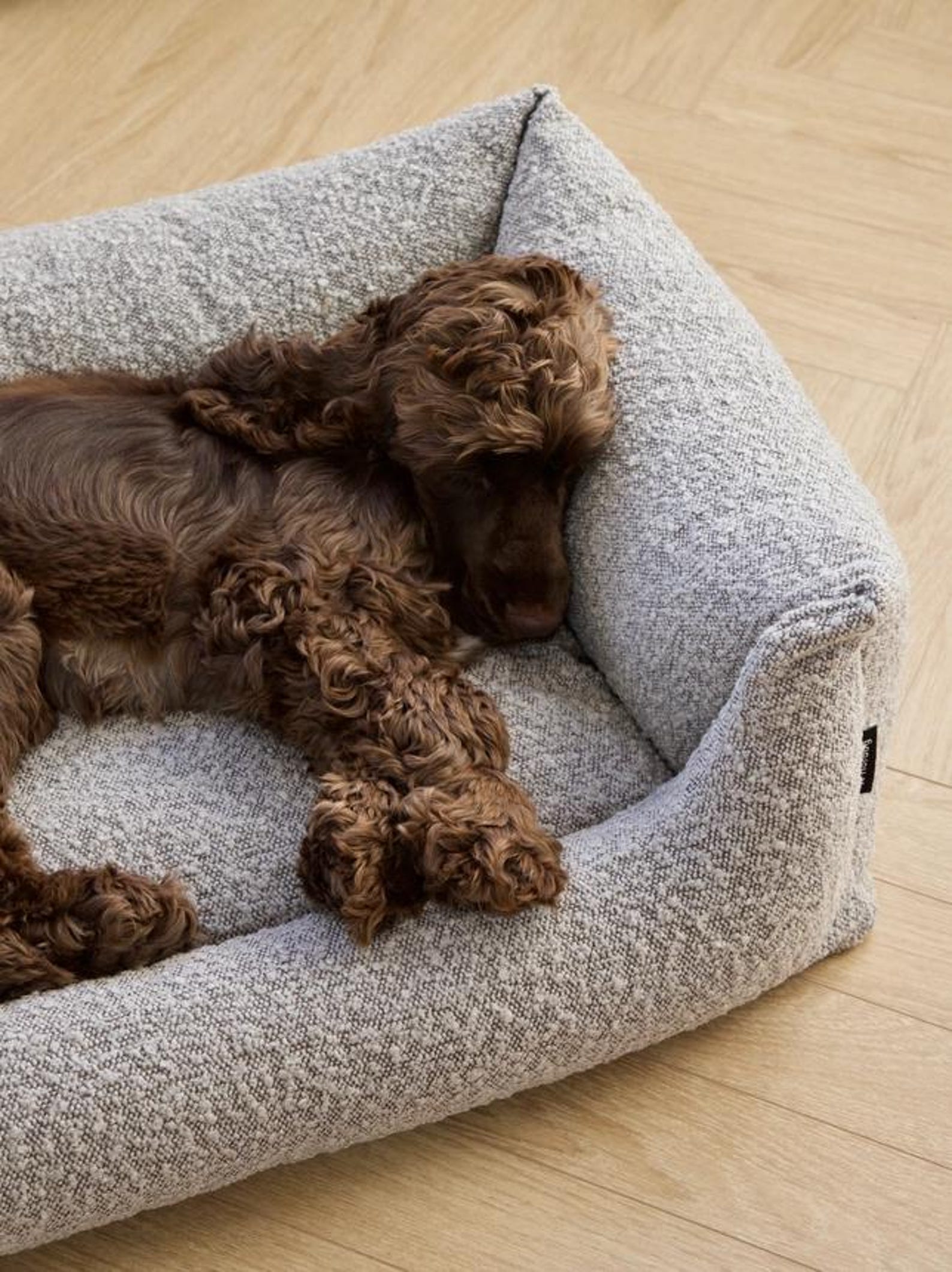 Luxury Billy Bouclé Dog Bed Taupe - Etsy