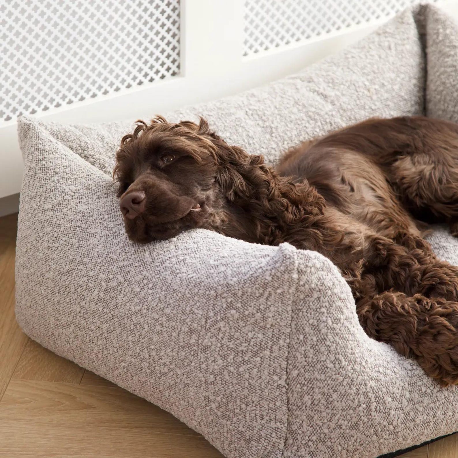 Luxury Billy Bouclé Dog Bed Taupe - Etsy