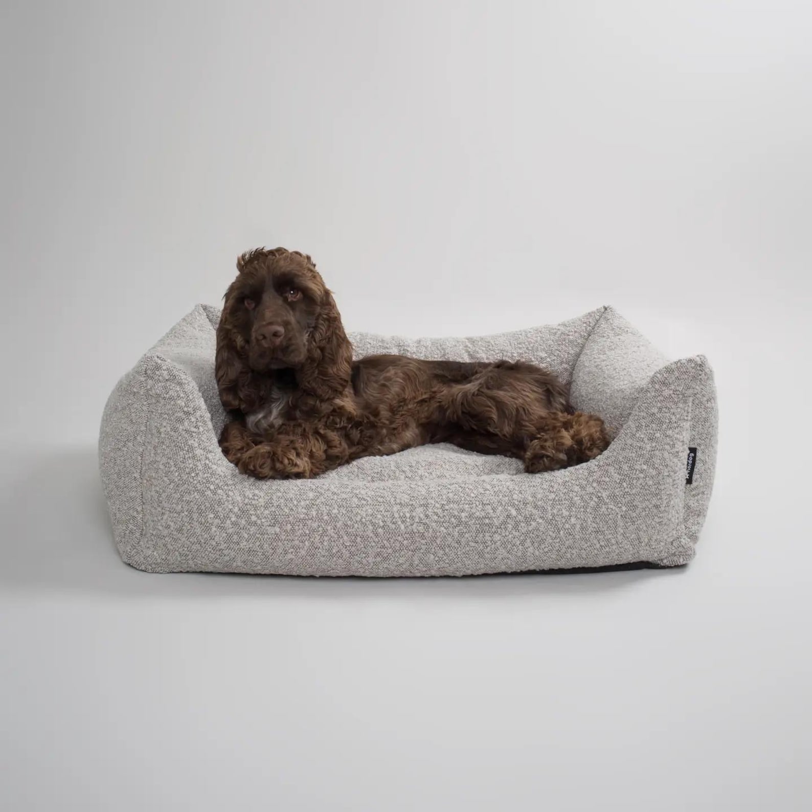 Luxury Billy Bouclé Dog Bed Taupe - Etsy