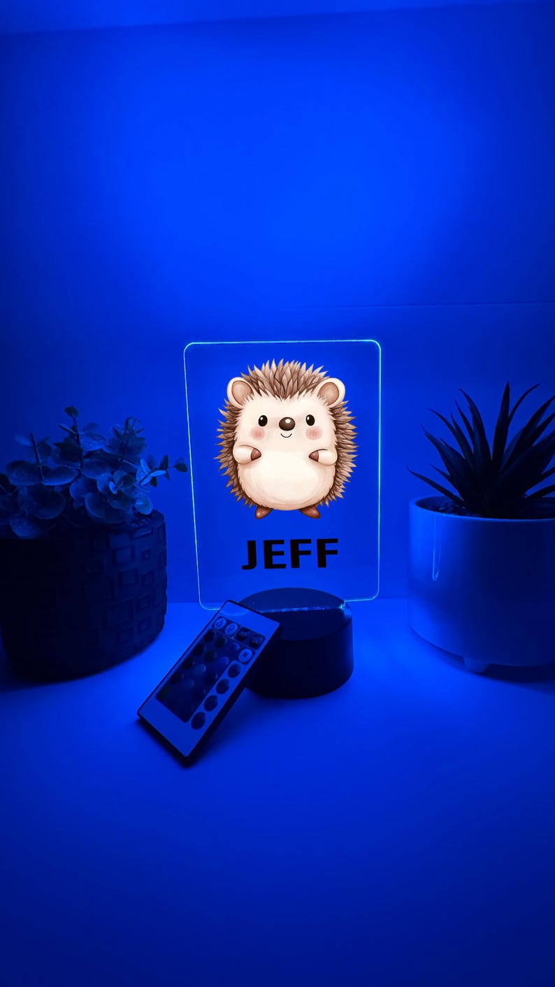 Cartoon Hedgehog Animal LED Lamp Room Decor Name Night Light LED ...