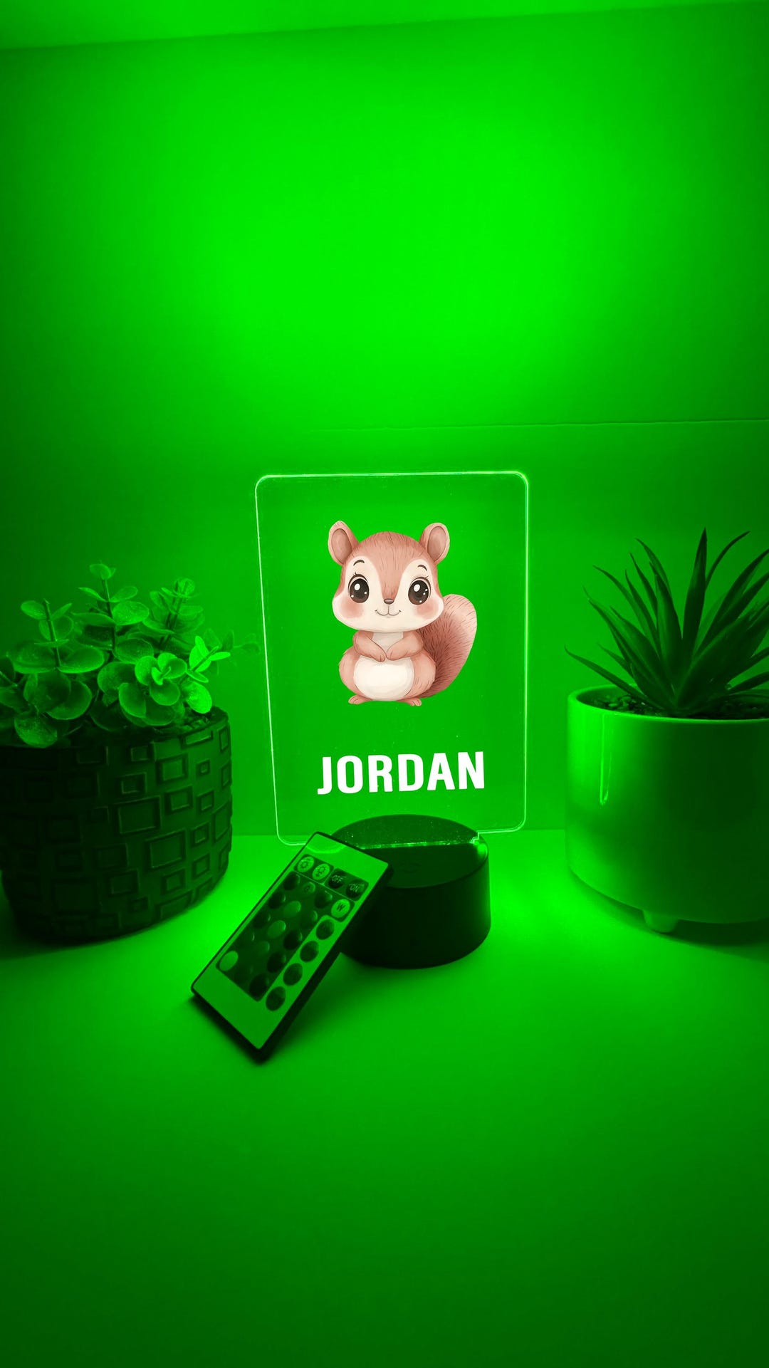 Cartoon Squirrel Animal LED Lamp Room Décor Name Night Light LED ...
