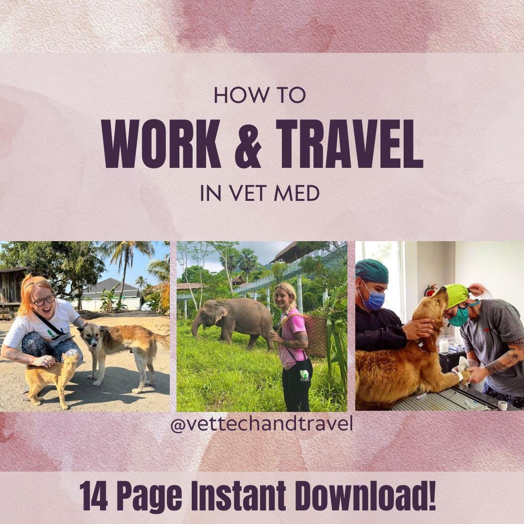 Veterinary Travel Guide - How to Work & Volunteer Abroad - Etsy