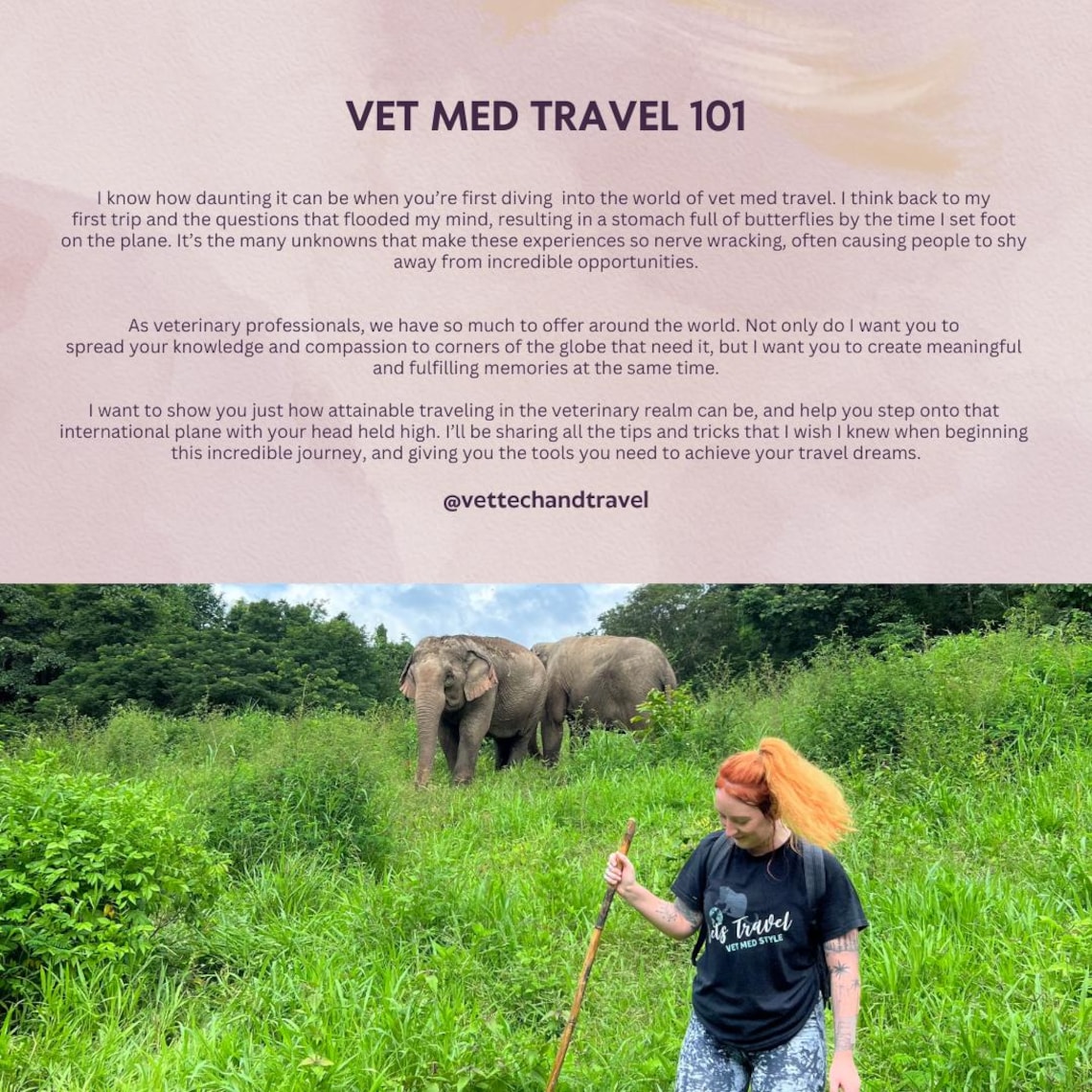 Veterinary Travel Guide - How to Work & Volunteer Abroad - Etsy