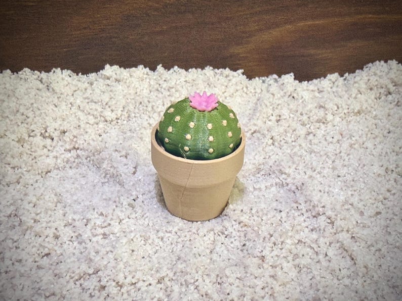 3D Printed Cactus Fidget Toy: Clicky Desk Toy, Stress Relief Gift ...
