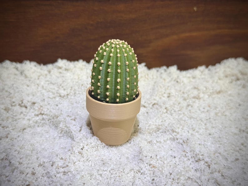 3D Printed Cactus Fidget Toy: Clicky Desk Toy, Stress Relief Gift ...