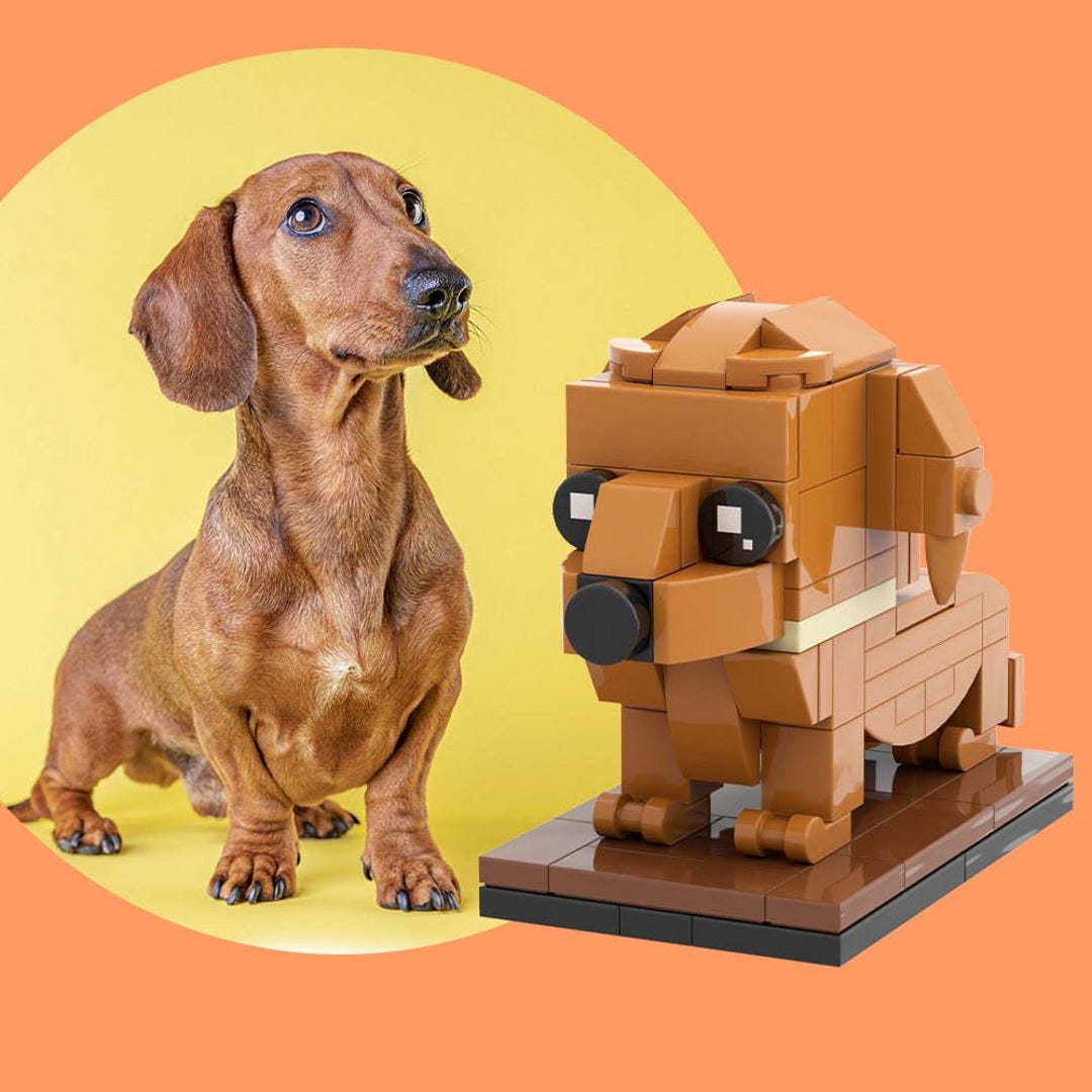 Fully Customizable Dachshund Brick Figure Personalized Small Particle ...