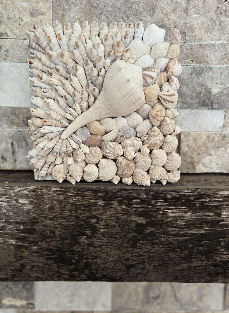 Coastal Shell Mosaic Wall Art - Handmade Mixed Seashell Collage - Ocean Inspired Wall Hanging - Etsy