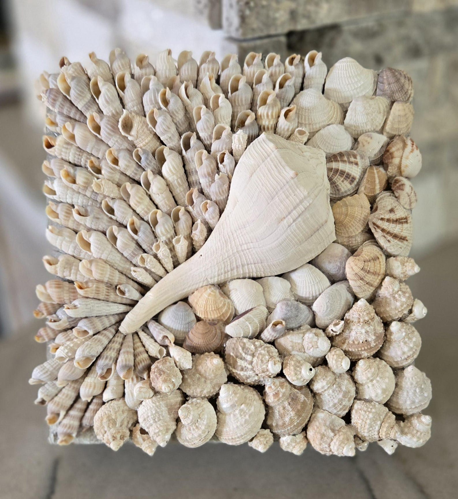 Coastal Shell Mosaic Wall Art - Handmade Mixed Seashell Collage - Ocean ...