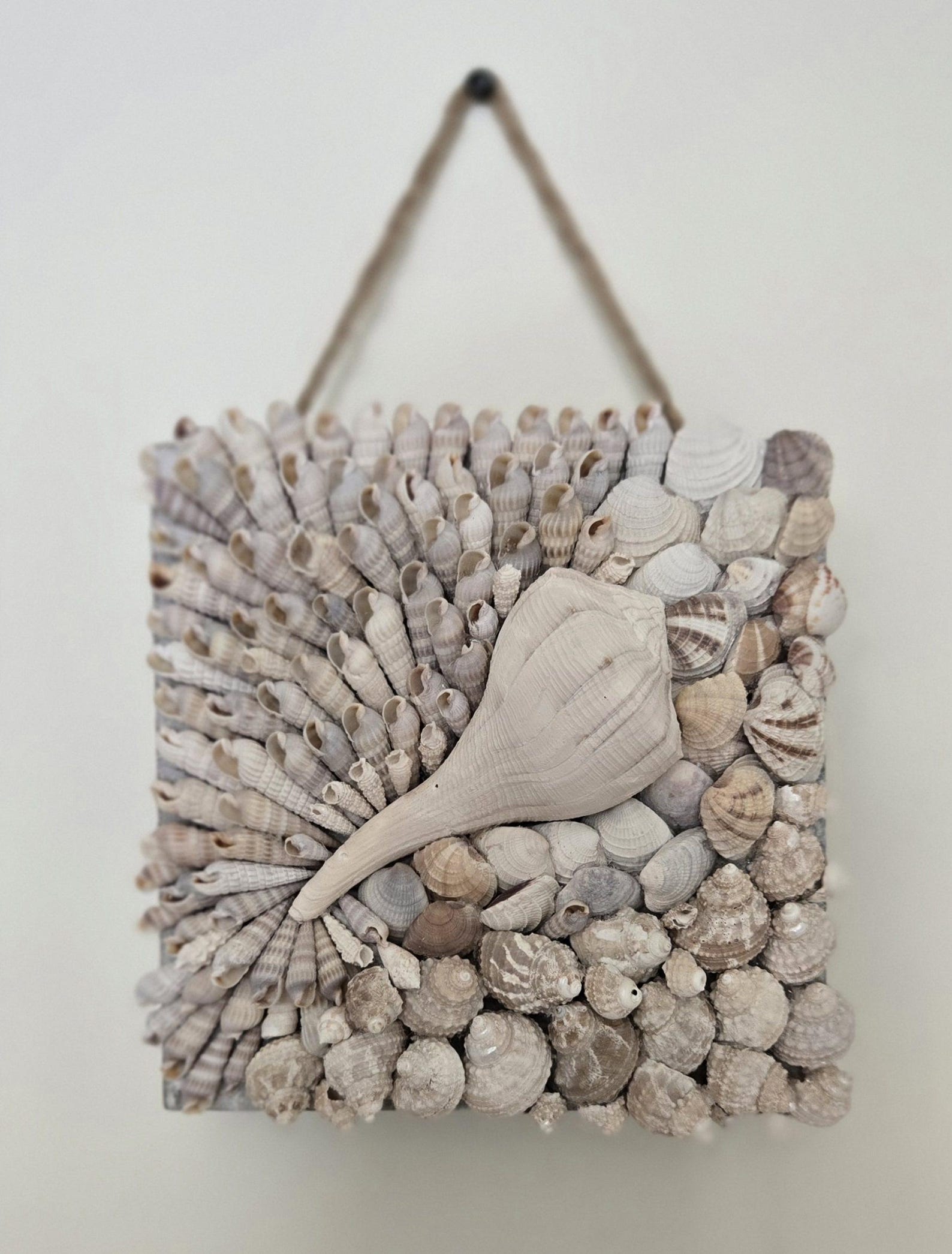 Coastal Shell Mosaic Wall Art - Handmade Mixed Seashell Collage - Ocean ...