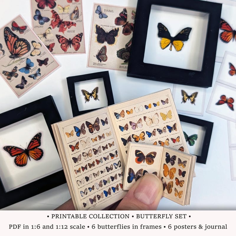 Butterfly Brown Frame - Etsy