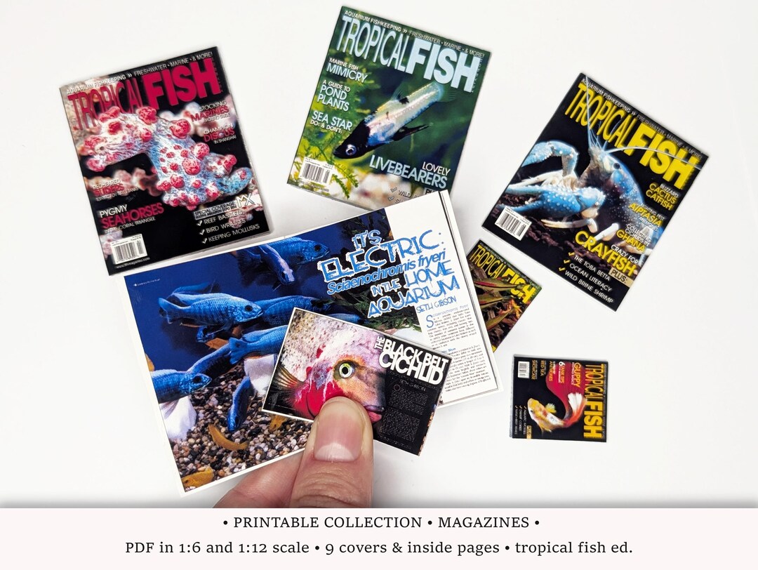 Tropical Fish Magazines | PRINTABLE 1:6 and 1/12 Scale PDF | Miniature ...