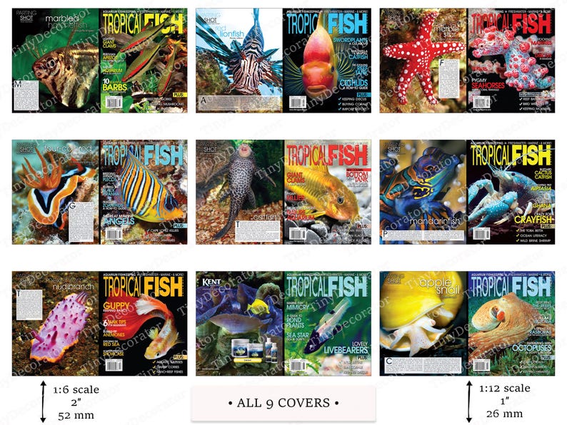 Tropical Fish Magazine Covers | PRINTABLE 1:6 and 1/12 Scale PDF ...