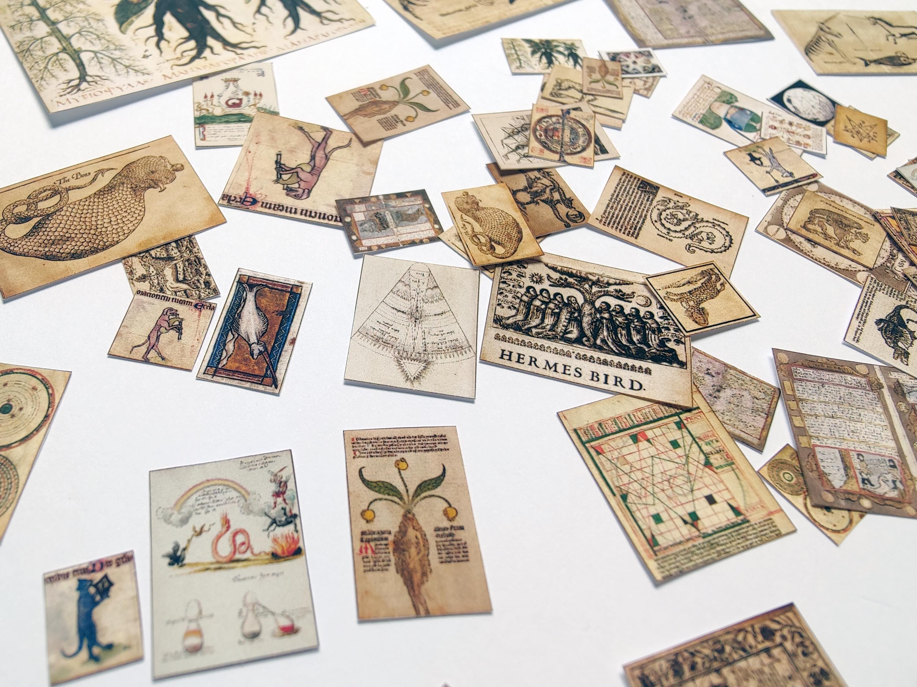 Alchemy Clutter | PRINTABLE 1:6 and 1/12 Scale PDF | Fantasy and Magic ...