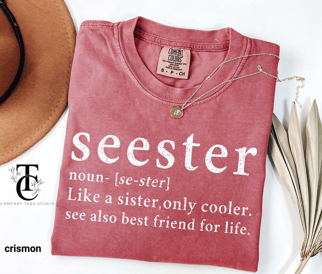 Comfort Colors® Seester Definition Shirt, Gifts for Sister, Best Sister ...