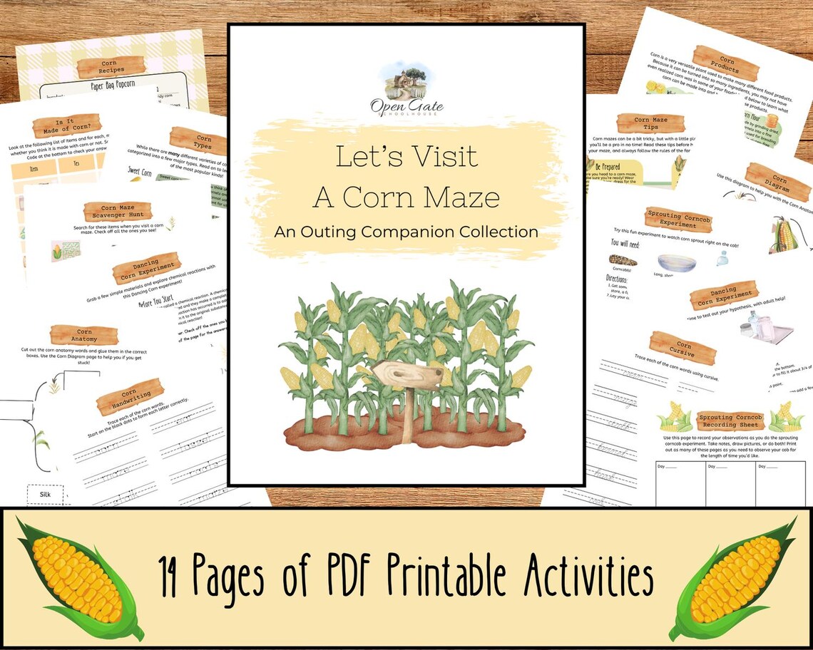 Let's Visit A Corn Maze Activity Pack for Field Trips, Outings ...