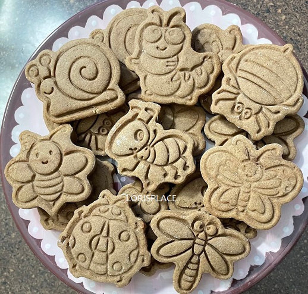 Insect and Critters COOKIES 24 Cookies - Etsy