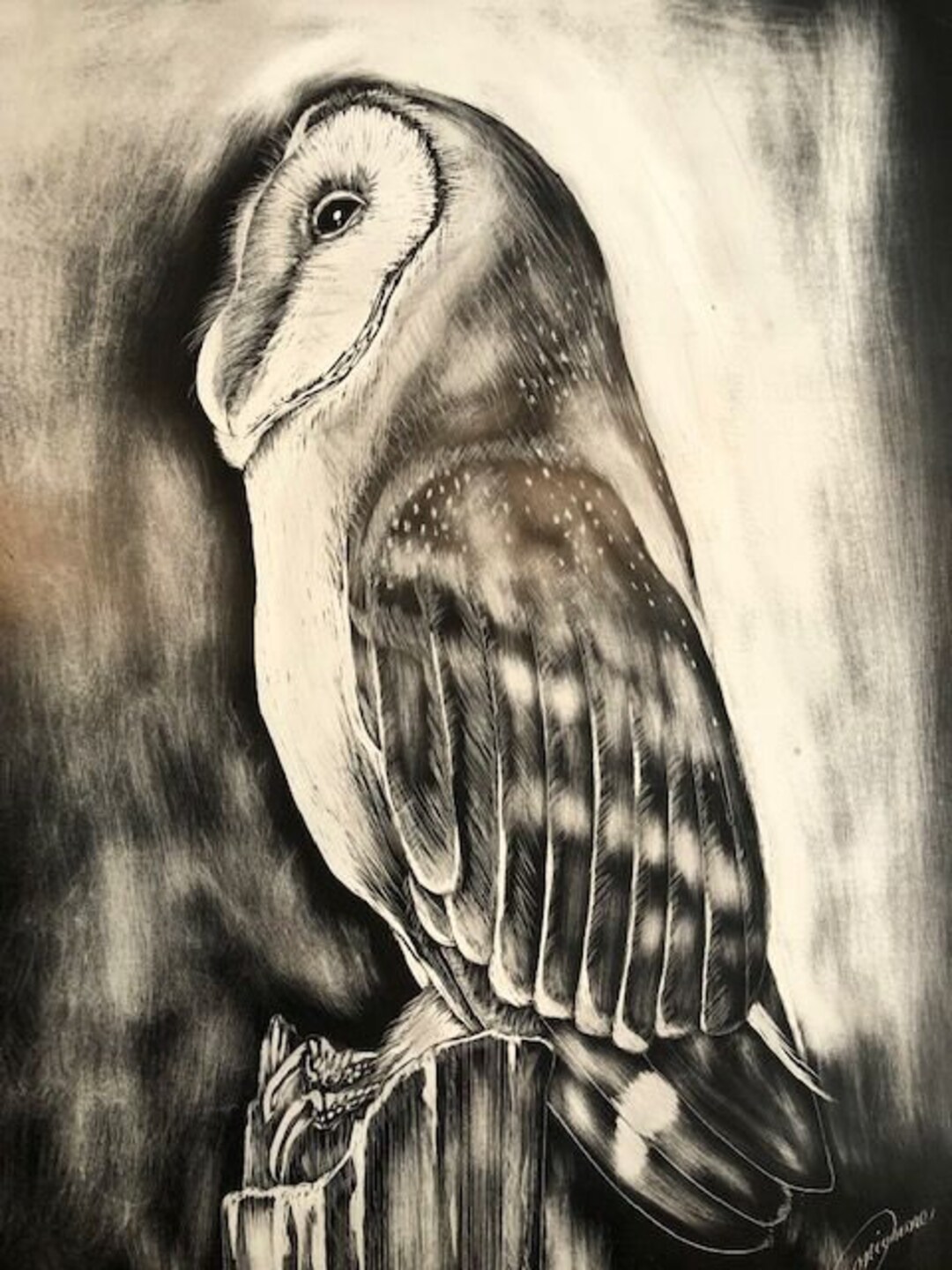 Barn Owl Scratch Board Original - Etsy