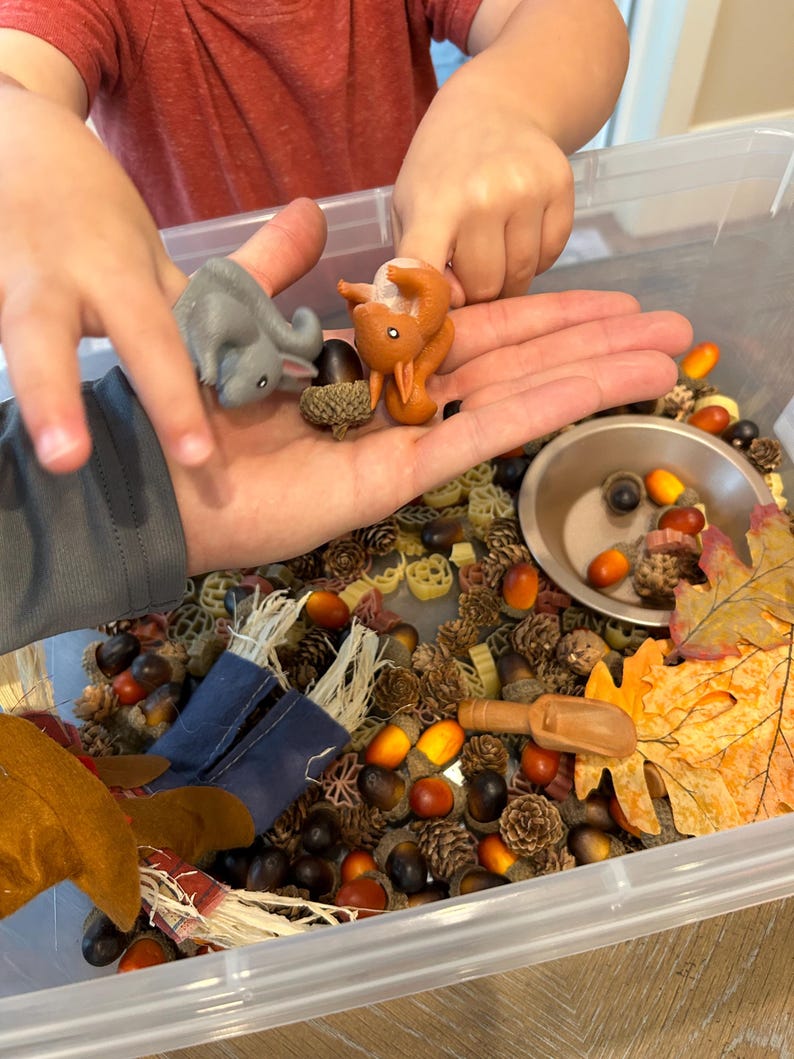 Fall Sensory Kit - Etsy