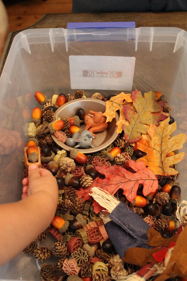 Fall Sensory Kit - Etsy