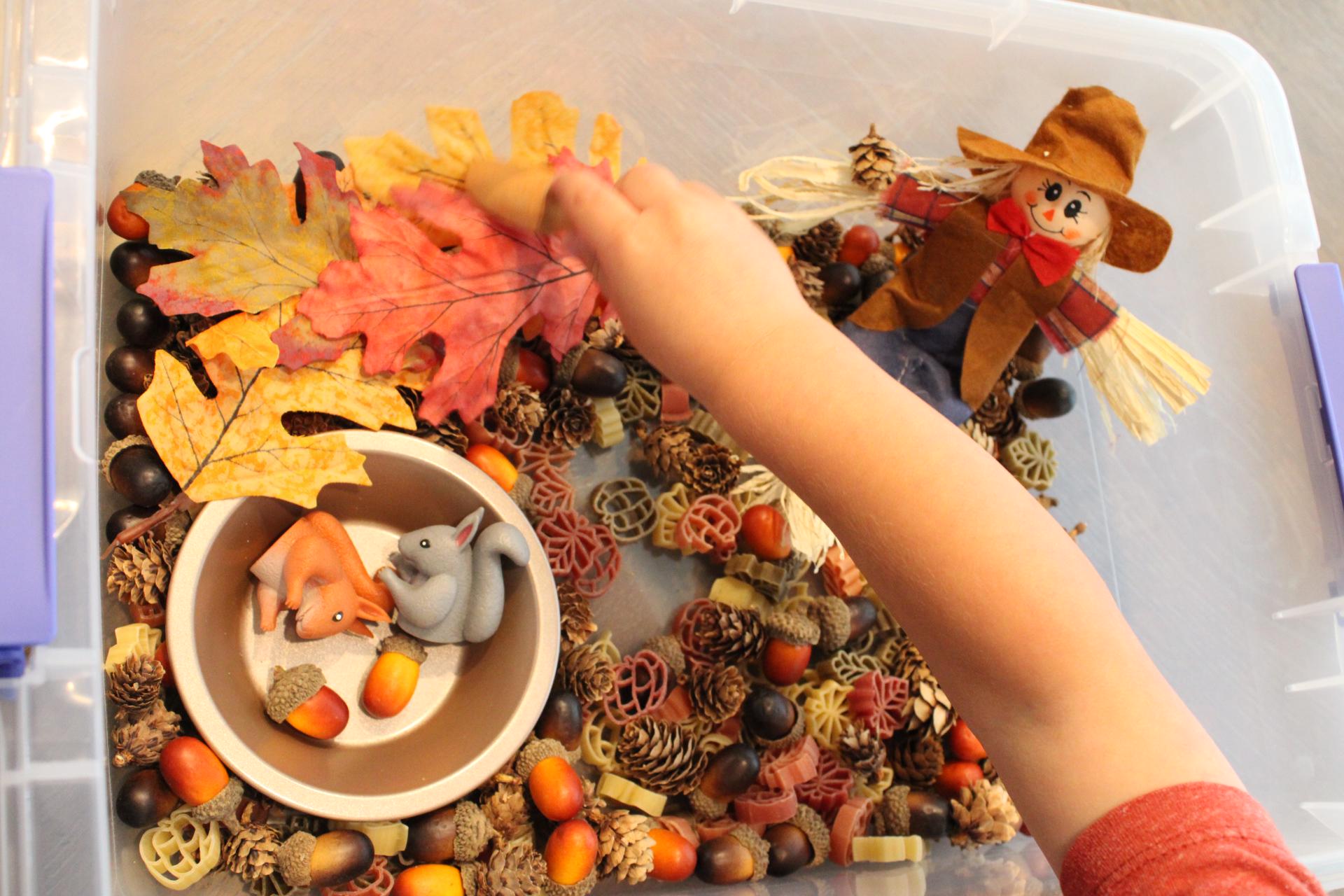 Fall Sensory Kit - Etsy