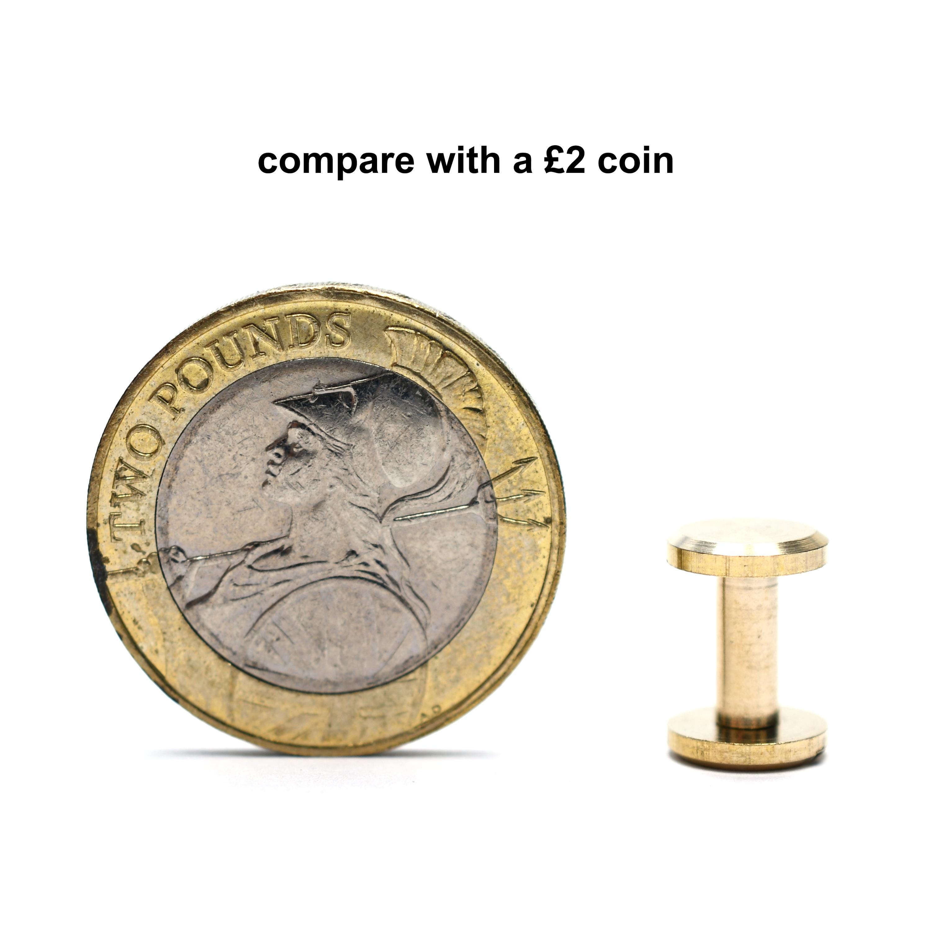 SILMEN Quality Flat Head Solid Brass Chicago Screw Rivets 10 Pcs ...