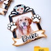 Day of the Dead Nicho Frames SVG Bundle, Cat and Dog Alebrije (instant ...