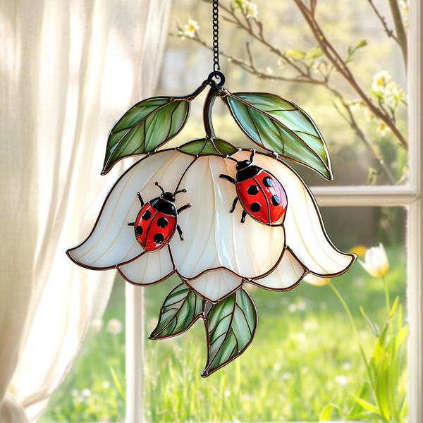 Ladybug Decorations - Etsy