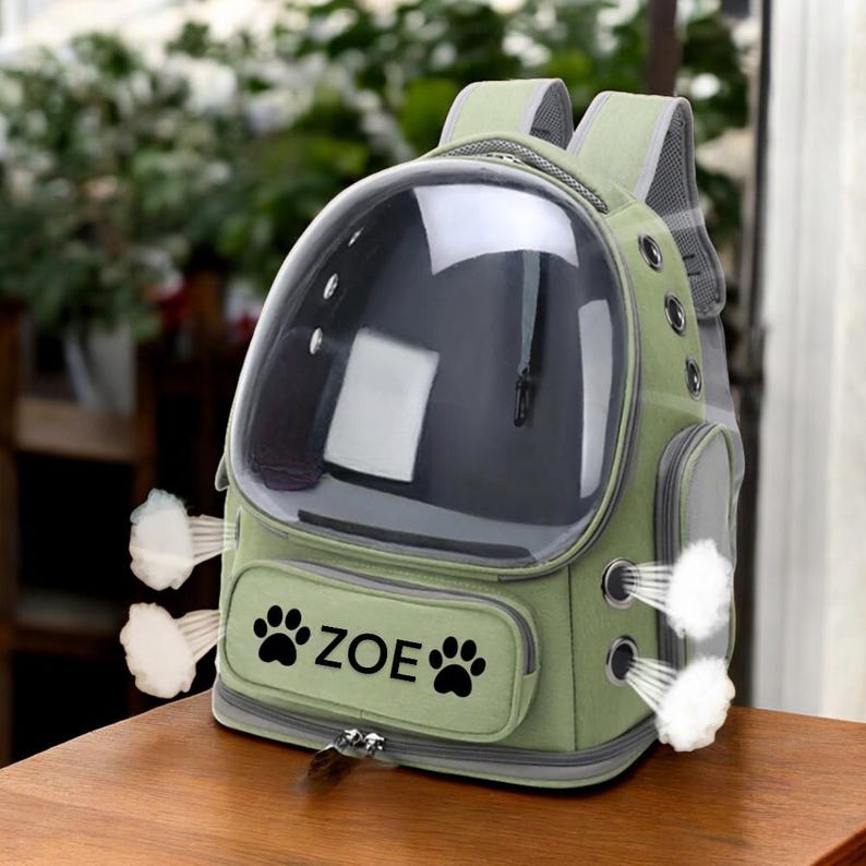 Personalized Astronaut Cat Backpack Transparent Pet Carrier, Waterproof ...