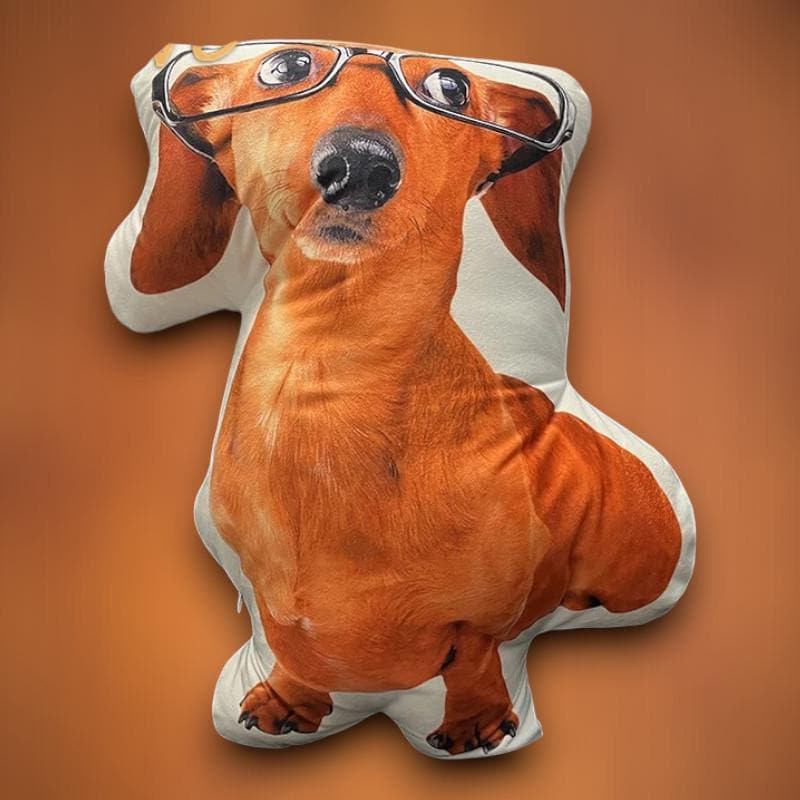 Personalizied Photo DIY Human-shaped Pillow Custom Pet or Face Plush ...