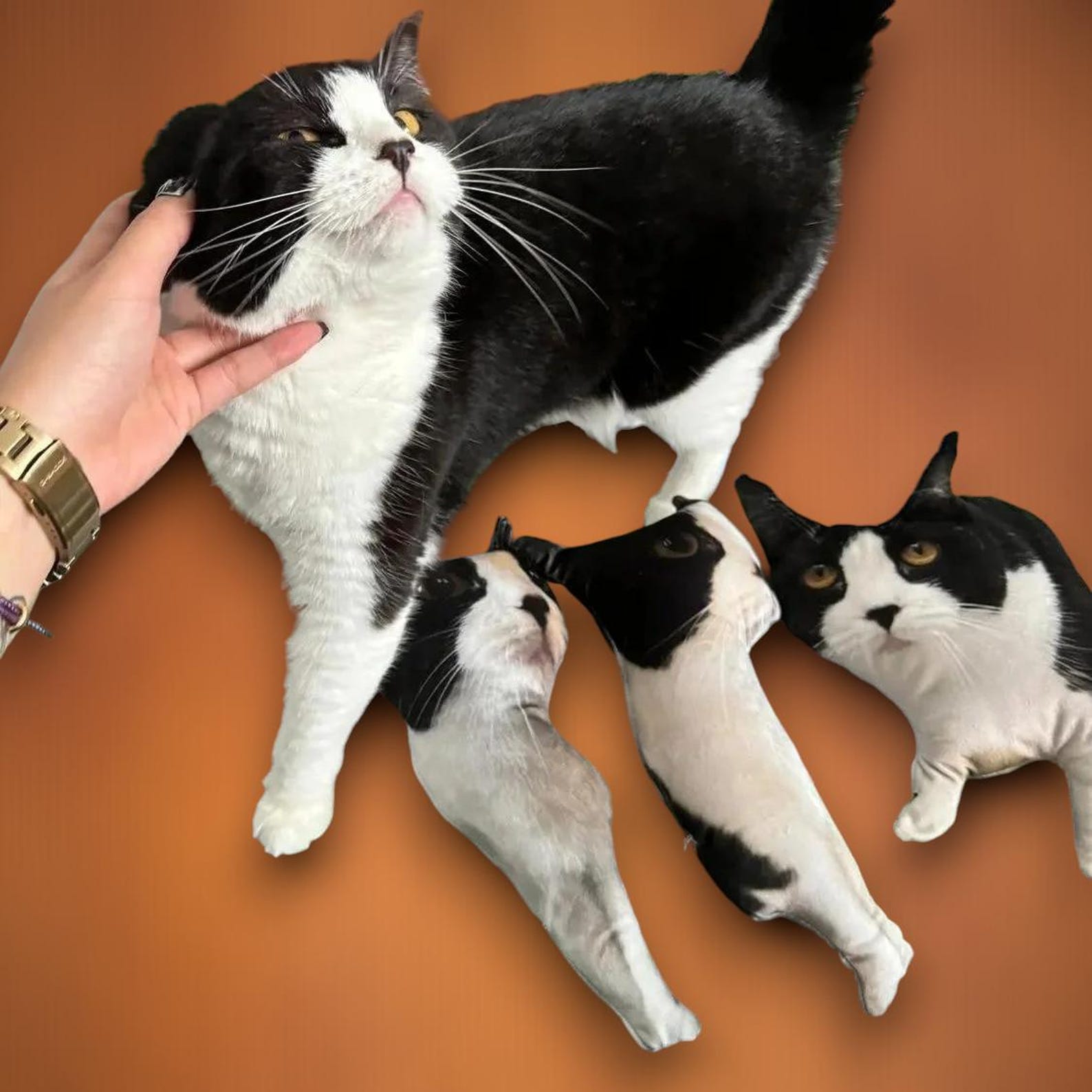 Personalizied Photo DIY Human-shaped Pillow Custom Pet or Face Plush ...