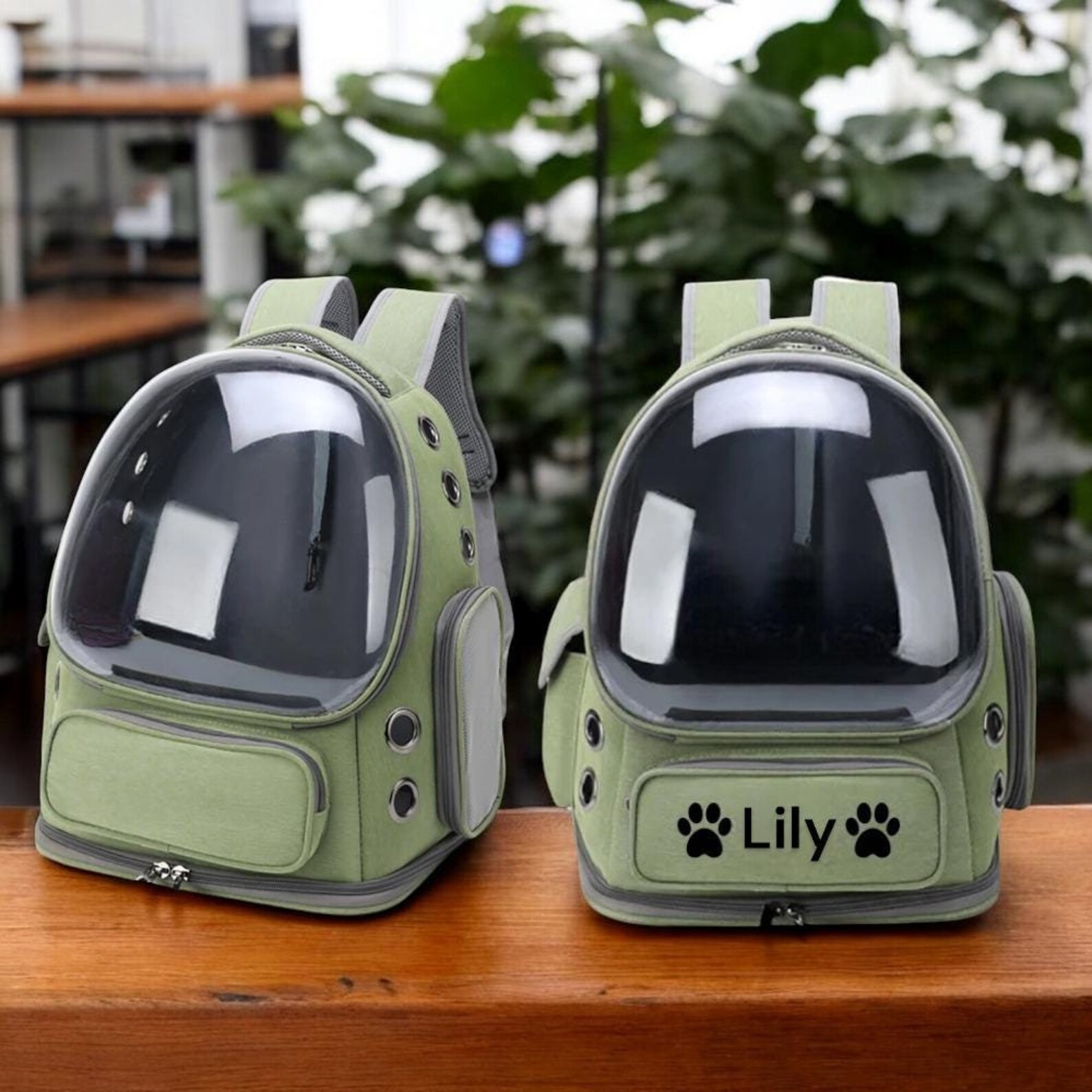 Personalized Astronaut Cat Backpack Transparent Pet Carrier, Waterproof ...