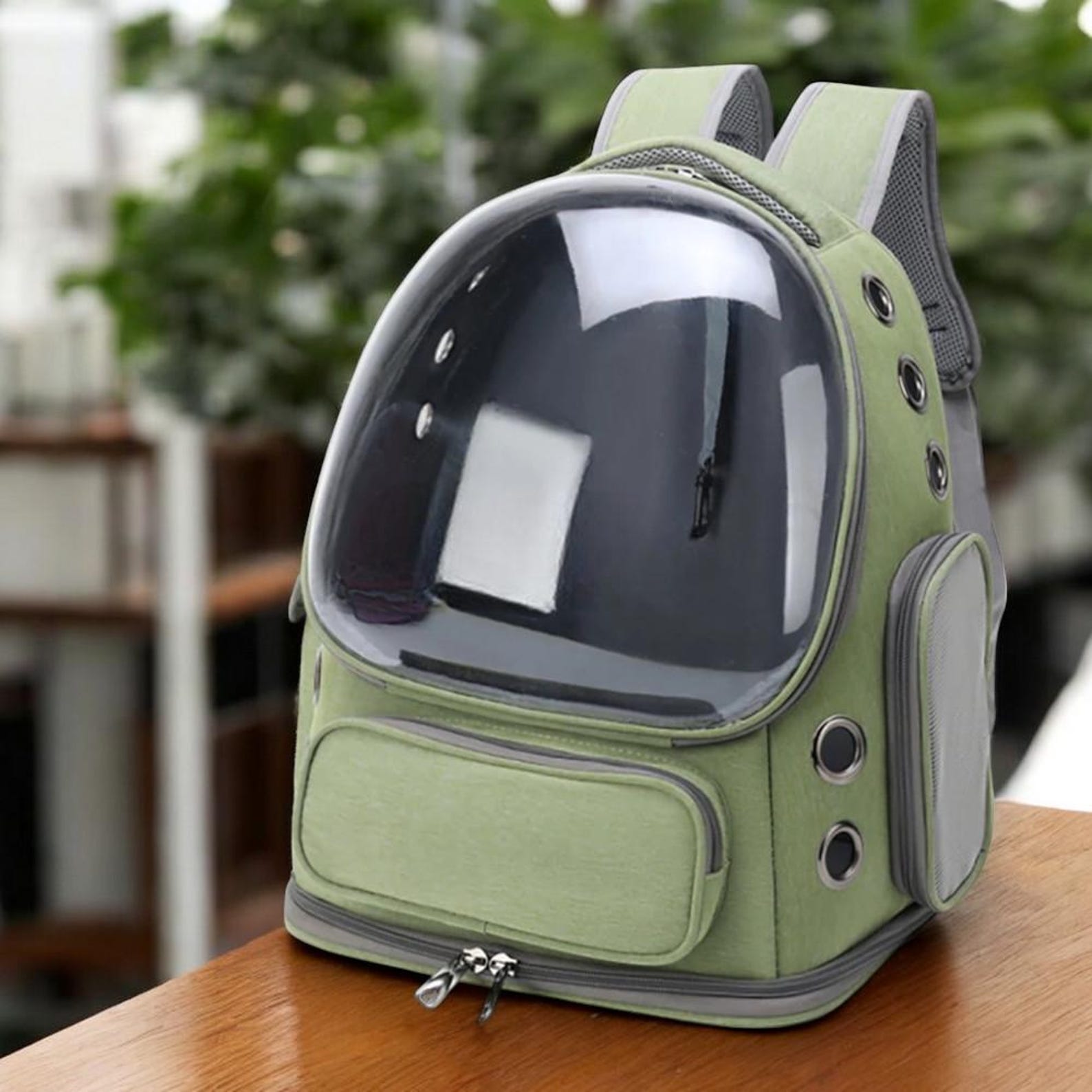 Personalized Astronaut Cat Backpack Transparent Pet Carrier, Waterproof ...