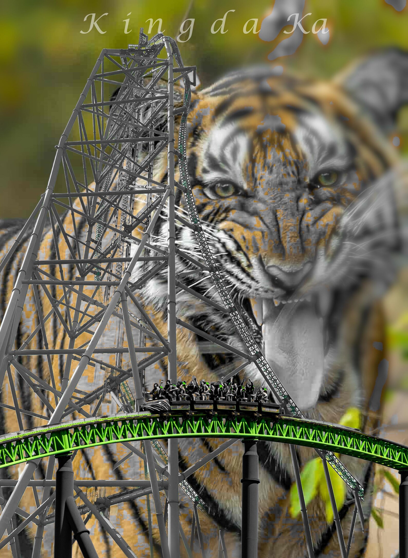 Kingda Ka @ Six Flags Great Adventure, Custom 8x10 Photograph - Etsy