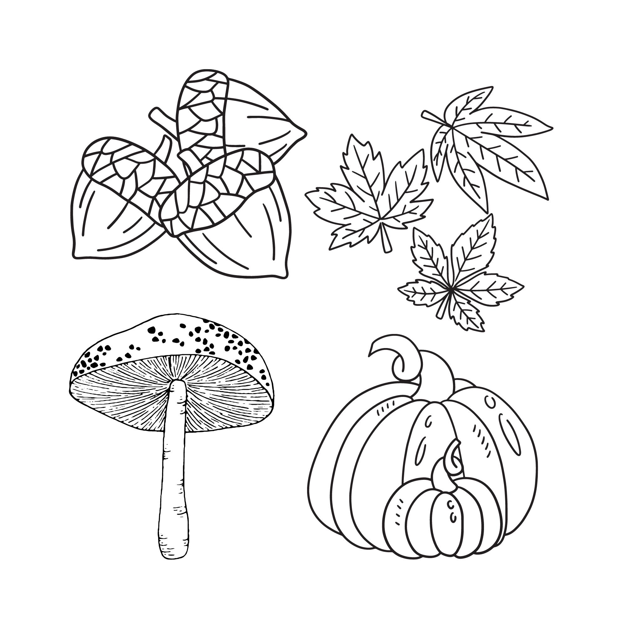 Simple Autumn Themed Colouring Pages and Sheets - Etsy