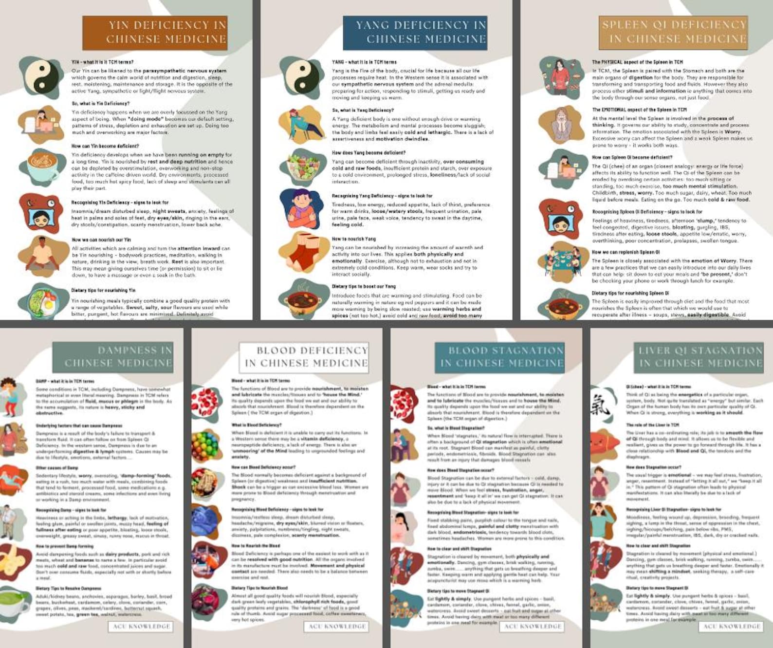 TCM Infographics: a Set of Seven Beautiful & Clearly Written ...