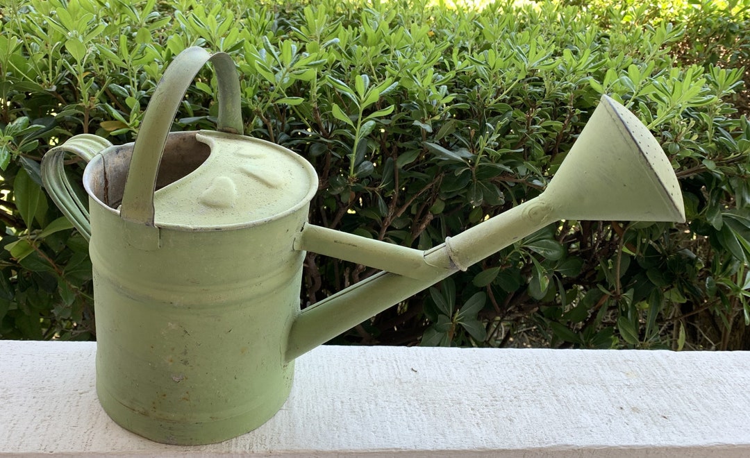 Vintage French Galvanized Zinc Watering Can W/long Spout & Sprinkler ...
