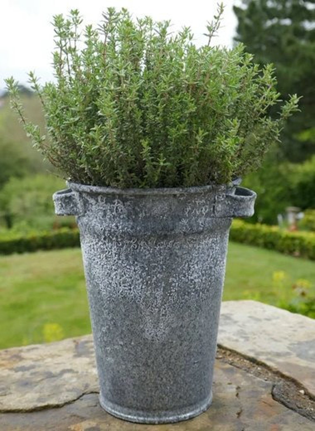 Vintage Zinc Florist Bucket With Two Handles Perfect Size for - Etsy